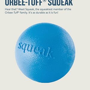 Outward Hound Orbee-Tuff Squeak Ball Blue Dog Fetch Toy