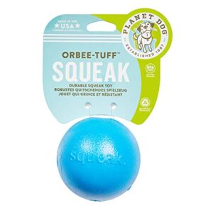 Outward Hound Orbee-Tuff Squeak Ball Blue Dog Fetch Toy