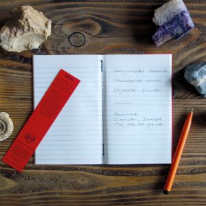 Silvine Originals Memo Notebook