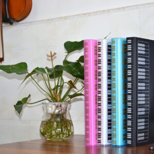 WOGOD Music Sheet File Paper Documents Storage Folder Holder Plastic.A4 Size,40 Pockets (Black)