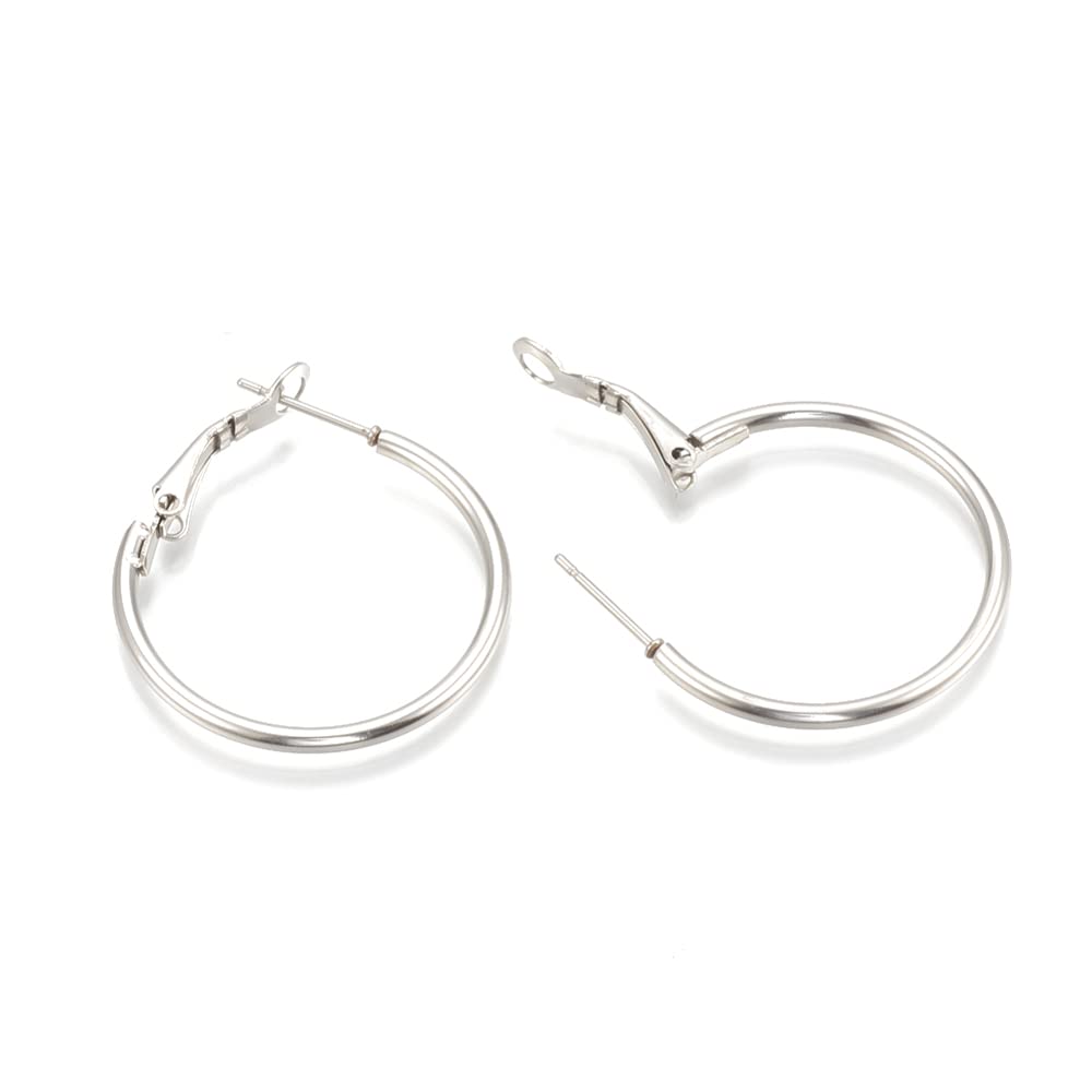 2 Stainless Surgical Steel Hoop Earrings with Hinged Leverback Latch (30mm (1 3/16 inch))