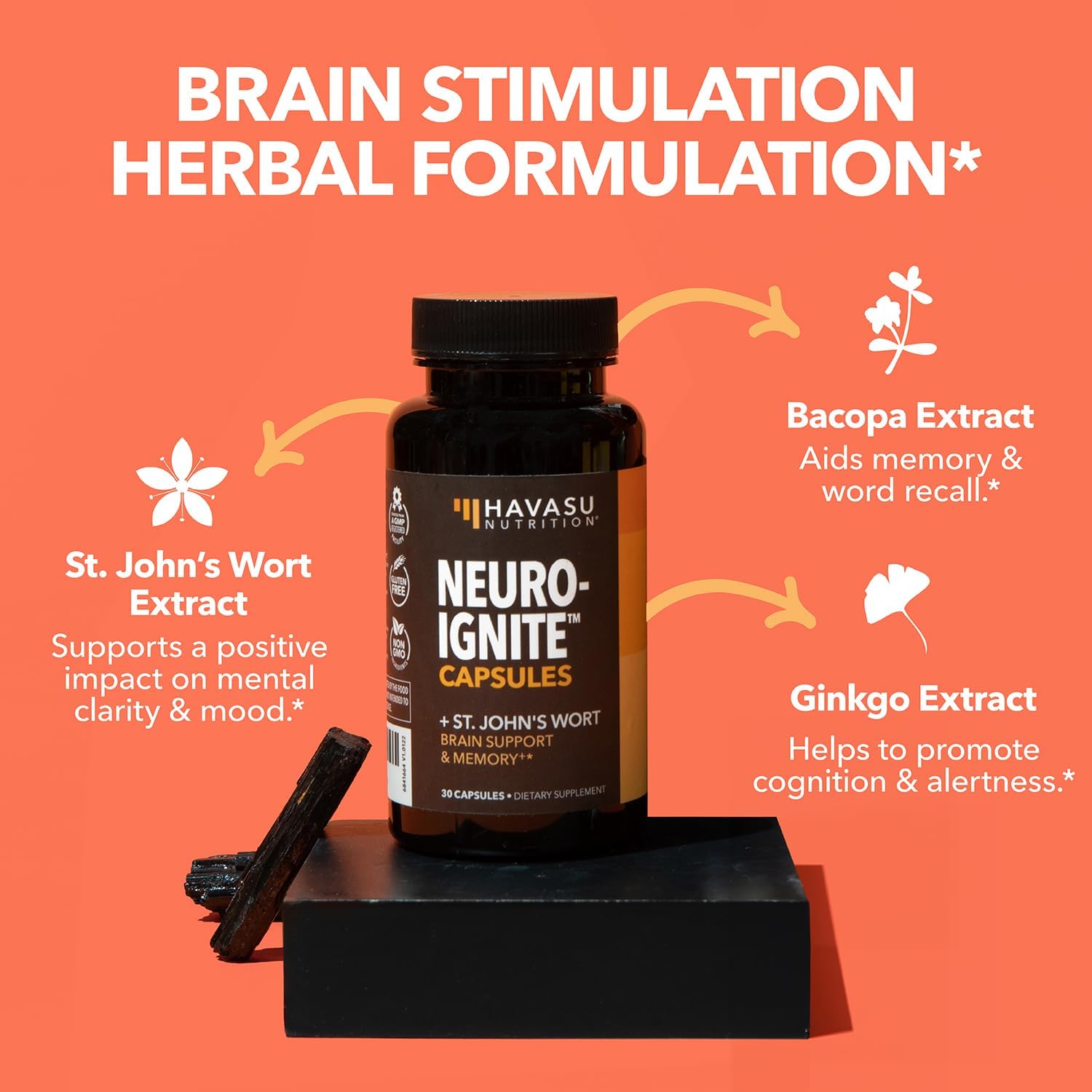 NeuroIgnite Brain Supplements for Memory and Focus Support with St Johns Wort & Ginkgo Biloba | Nootropics Brain Support Supplement | Cognitive & Memory Supplement for Brain Health | 1 Month Supply