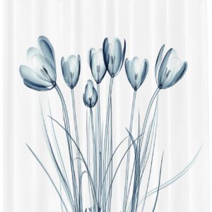 Ambesonne Flower Shower Curtain, X-ray Image of Tulips Solarized Effect Nature Inspired, Cloth Fabric Bathroom Decor Set with Hooks, 69" W x 75" L, Petrol Blue