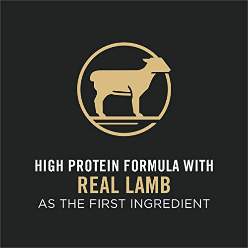 Purina Pro Plan High Protein Small Breed Dog Food, Shredded Blend Lamb & Rice Formula - 6 lb. Bag