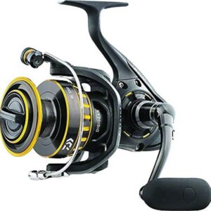 Daiwa BG5000 BG Saltwater Spinning Reel, 5000, 5.7: 1 Gear Ratio, 6+1 Bearings, 47.40" Retrieve Rate, 22 lb Max Drag,Black/Gold