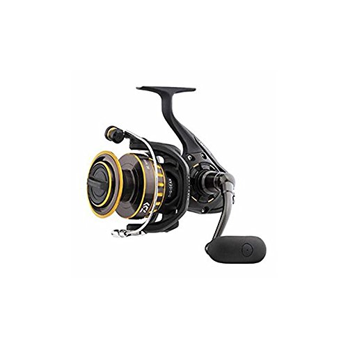 Daiwa BG5000 BG Saltwater Spinning Reel, 5000, 5.7: 1 Gear Ratio, 6+1 Bearings, 47.40" Retrieve Rate, 22 lb Max Drag,Black/Gold