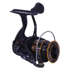 Daiwa BG5000 BG Saltwater Spinning Reel, 5000, 5.7: 1 Gear Ratio, 6+1 Bearings, 47.40" Retrieve Rate, 22 lb Max Drag,Black/Gold