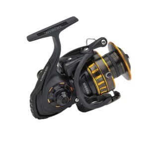 Daiwa BG5000 BG Saltwater Spinning Reel, 5000, 5.7: 1 Gear Ratio, 6+1 Bearings, 47.40" Retrieve Rate, 22 lb Max Drag,Black/Gold