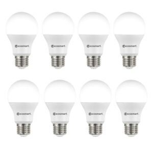 Ecosmart 8 Pack LED A19 Light bulb, Soft White , 60w Equivalent (A19 Daylight)