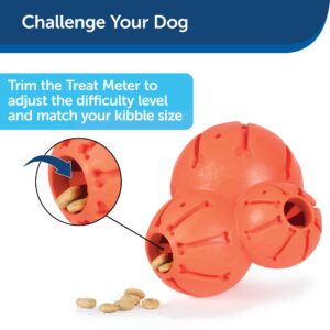 PetSafe Sportsmen Barnacle - Dog Chew Toy - Interactive Pet Puzzle for Boredom or Separation Anxiety - Use with Treats - Small