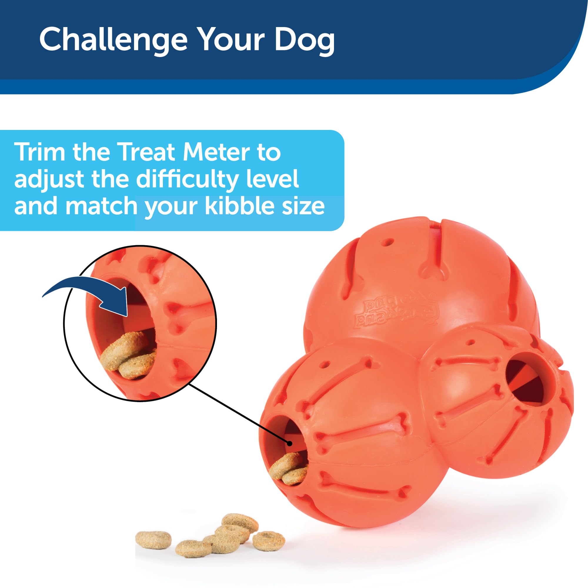 PetSafe Sportsmen Barnacle - Dog Chew Toy - Interactive Pet Puzzle for Boredom or Separation Anxiety - Use with Treats - Small