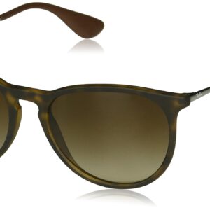 Ray-Ban Women's RB4171 Erika Round Sunglasses, Tortoise, 54 mm