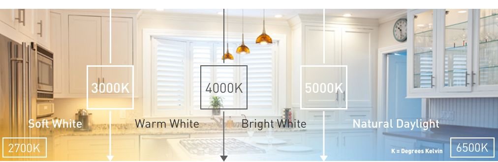 (3-Pack) EcoSmart R20 Daylight LED, Dimmable, 600-Lumen, 5000K, 8-Watt (50-Watt Equivalent) Light Bulb, E26 Medium Base