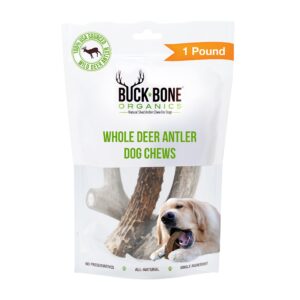 buck bone organics dog chews, deer antlers for dogs, long lasting dog bones for aggressive chewers, all natural, no preservatives, wild shed in the usa, med/large