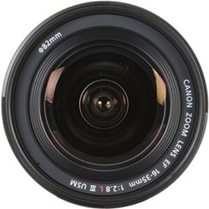 Canon EF 16–35mm f/2.8L III USM Lens, Black (0573C002)