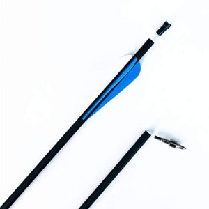 GPP Hunting Archery Carbon Arrow 20" Crossbow Bolts Arrow with 4" vanes and Replaced Arrowhead/Tip 12PC