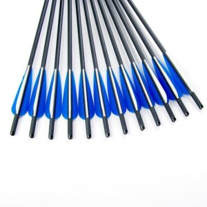 GPP Hunting Archery Carbon Arrow 20" Crossbow Bolts Arrow with 4" vanes and Replaced Arrowhead/Tip 12PC