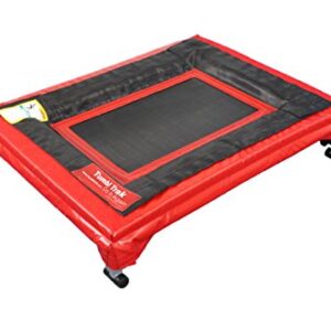 Tumbl Trak Mini Trak, Red, Small Mini Trampoline (MT-adj)