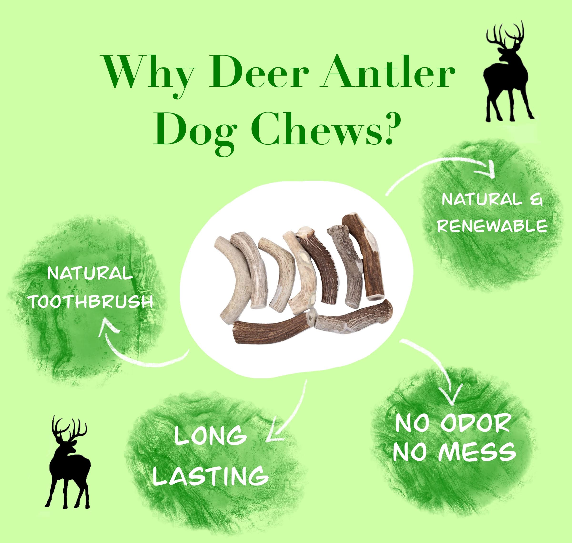 Deer Valley Chews Premium Deer Antler for Dogs - Medium 5-7 Inches Long, 3 Pack - All Natural Dental Treat for Teething and Chewing - Premium Grade, Naturally Shed