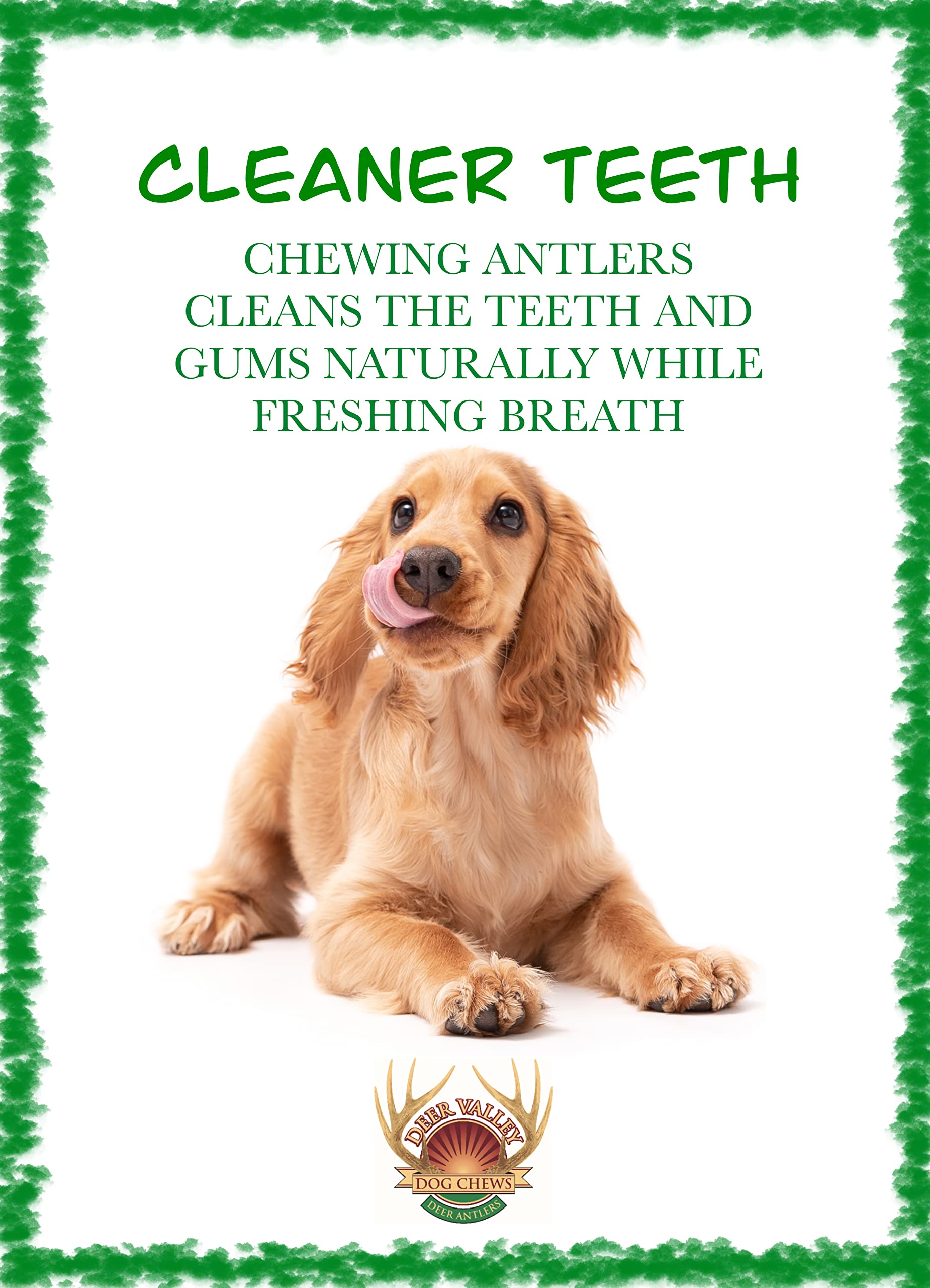 Deer Valley Chews Premium Deer Antler for Dogs - Medium 5-7 Inches Long, 3 Pack - All Natural Dental Treat for Teething and Chewing - Premium Grade, Naturally Shed