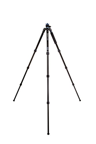 Benro FGP28A SystemGo Plus Tripod Only, Travel, Aluminum with Monopod, Black