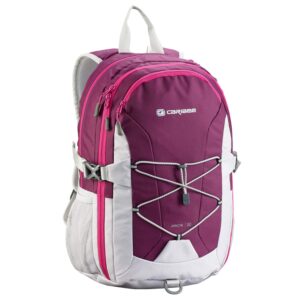 caribee apache daypack (grape/snow)