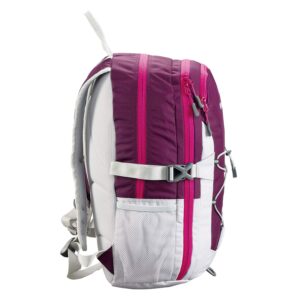 Caribee Apache Daypack (Grape/Snow)