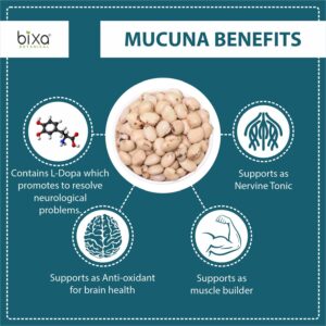 bixa BOTANICAL Mucuna Pruriens Powder (Velvet Bean Powder/Kapikacchu) ǀ Natural Nervine Tonic & Muscle Builder ǀ Herbal Mood Enhancement a ǀ Energy Booster (16 Oz/1 Pound)