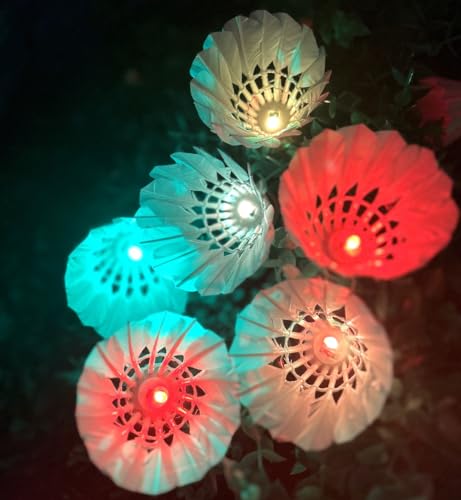 Inngree LED Badminton Birdies, LED Colourful Shuttlecock Dark Night Goose Feather Glow Birdies Lighting Outdoor Indoor Sport Activities (Colourful-6pcs)