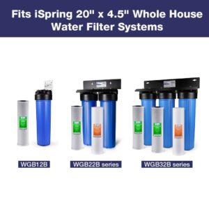 iSpring FC25B Whole House Water Filter Replacement Cartridge, CTO Carbon Block, 20” x 4.5”