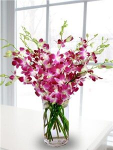 premium cut purple orchids (20 stems with vase) (support small business)