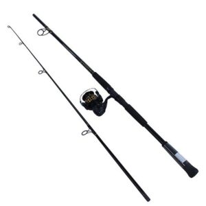 daiwa bg4000/802m bg saltwater pre-mounted spinning combo, 8' length, 2piece rod, 7 bearings, medium power,black/gold