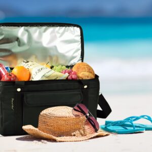 Picnic at Ascot 42 Can Capacity Semi Rigid Collapsible Leakproof Cooler- Designed & Quality Approved in the USA