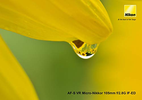 Nikon AF-S VR Micro-NIKKOR 105mm f/2.8G IF-ED Lens (Renewed)