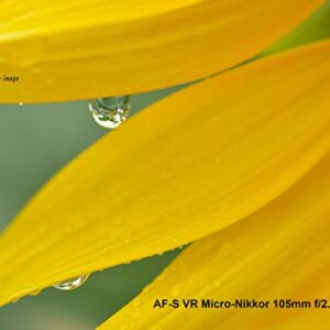 Nikon AF-S VR Micro-NIKKOR 105mm f/2.8G IF-ED Lens (Renewed)