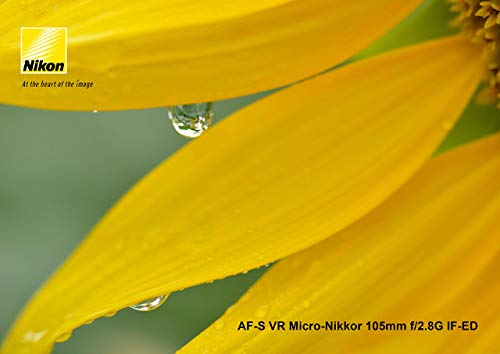 Nikon AF-S VR Micro-NIKKOR 105mm f/2.8G IF-ED Lens (Renewed)