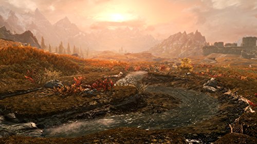 Elder Scrolls V: Skyrim Special Edition (PS4)