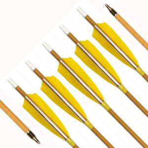 Carbon Arrows 500 Spine with Real Feather Fletching and Field Points for Archery Target Shooting (6 Pack)