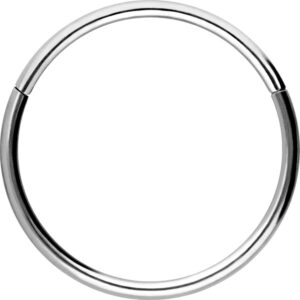 PIERCINGLINE Segment Ring Clicker made of surgical steel - Hoop Piercing in gold, silver, rose gold or black - nose ring, septum ring, ear helix piercing jewelry or tragus cartilage hoop