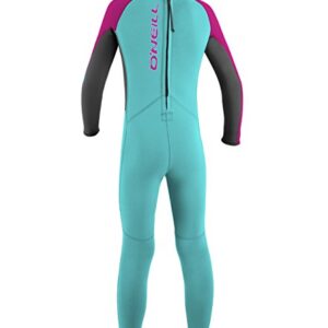 O'Neill Toddler Reactor-2 2mm Back Zip Full Wetsuit, Light Aqua/Graphite/Berry, 1