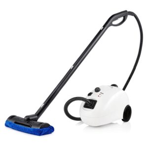 dupray home steam cleaner european made kills 99.99%* bacteria viruses for disinfection and cleaning flooring, cars, tile, and more