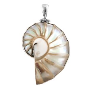 ridged nautilus shell 925 sterling silver pendant, 2 3/8"