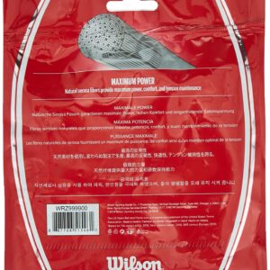 Wilson Natural Gut 17 Tennis String - Set, White