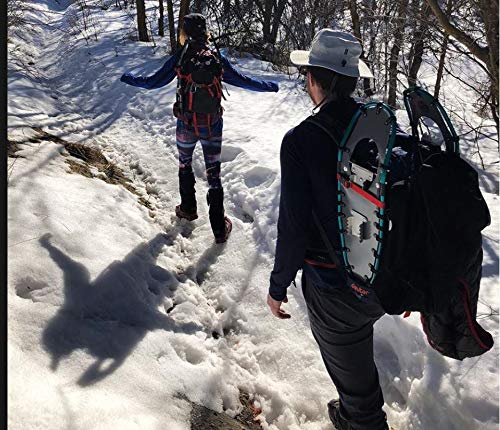 NORTHERN LITES Backcountry Tru-Track Blue Snowshoe