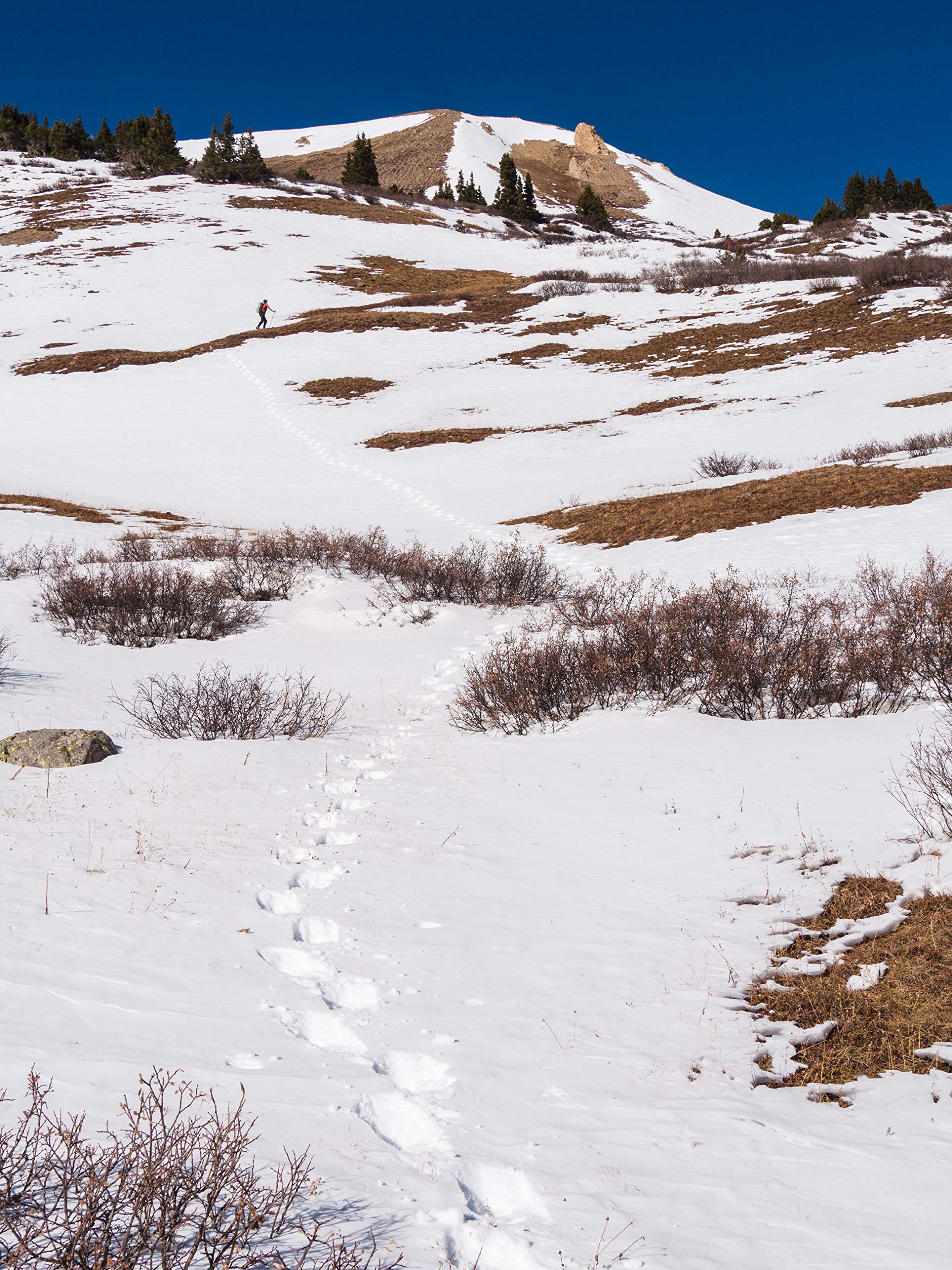 NORTHERN LITES Backcountry Tru-Track Blue Snowshoe