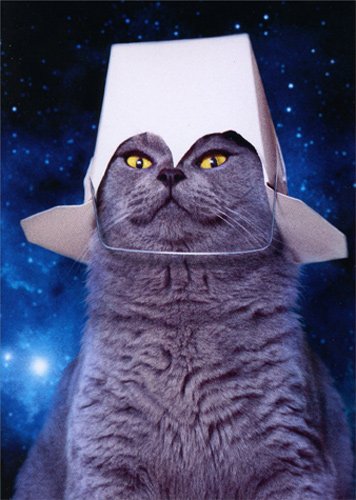 Avanti, Take Out Space Cat