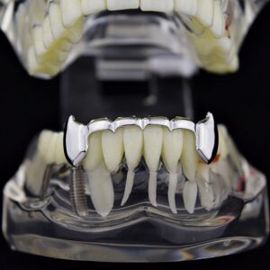 Vampire Half Grillz Fang Slim Silver Tone Bottom Lower Row Slugs Teeth Hip Hop Grills