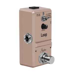 Rowin Looper Effects Pedal Unlimited Overdubs 10 Minutes of Looping, 1/2 time, and Reverse