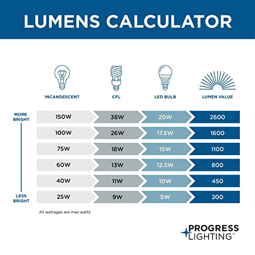 Progress Lighting P3713-20 Inspire Two-Light Flush Mount, Antique Bronze, 5.50x13.00x13.00