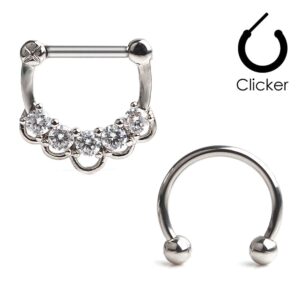 Ruifan 16G Surgical Steel Horseshoe & Clear CZ Nose Ear Daith Septum Clicker Ring 2PCS - Steel